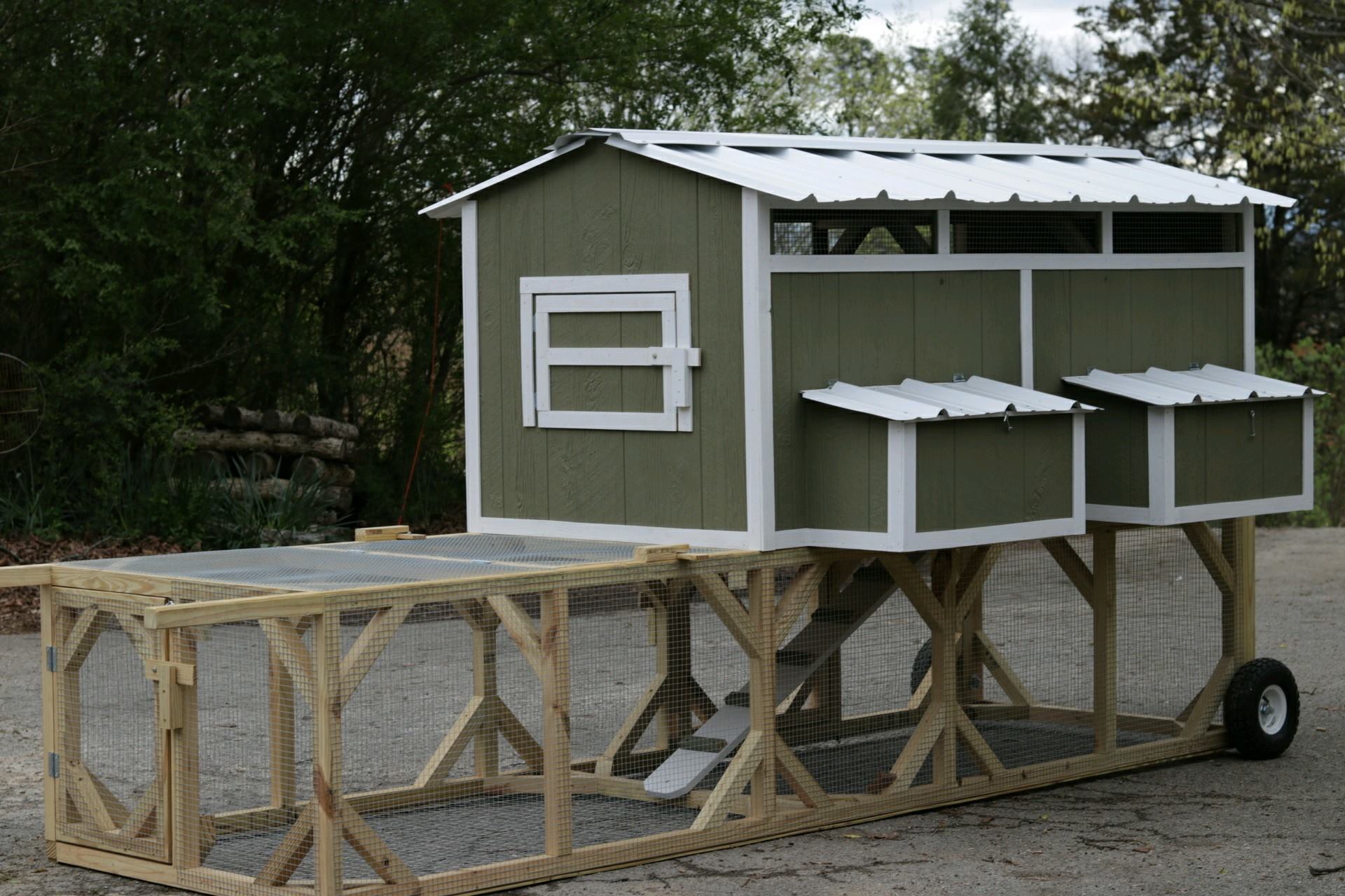 Embassy Peeps - Smoky Mountain Chicken Tractors